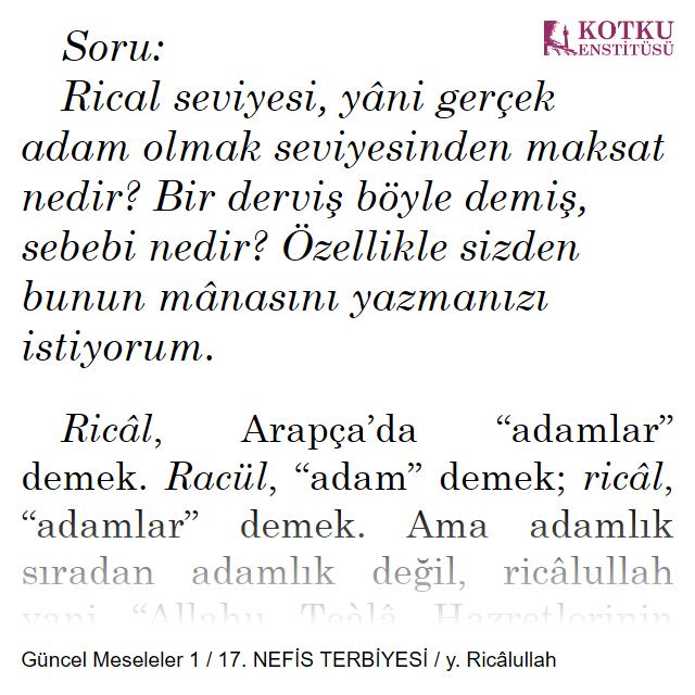 Rical seviyesi, yâni gerçek adam olmak seviyesinden maksat nedir? Bir ...